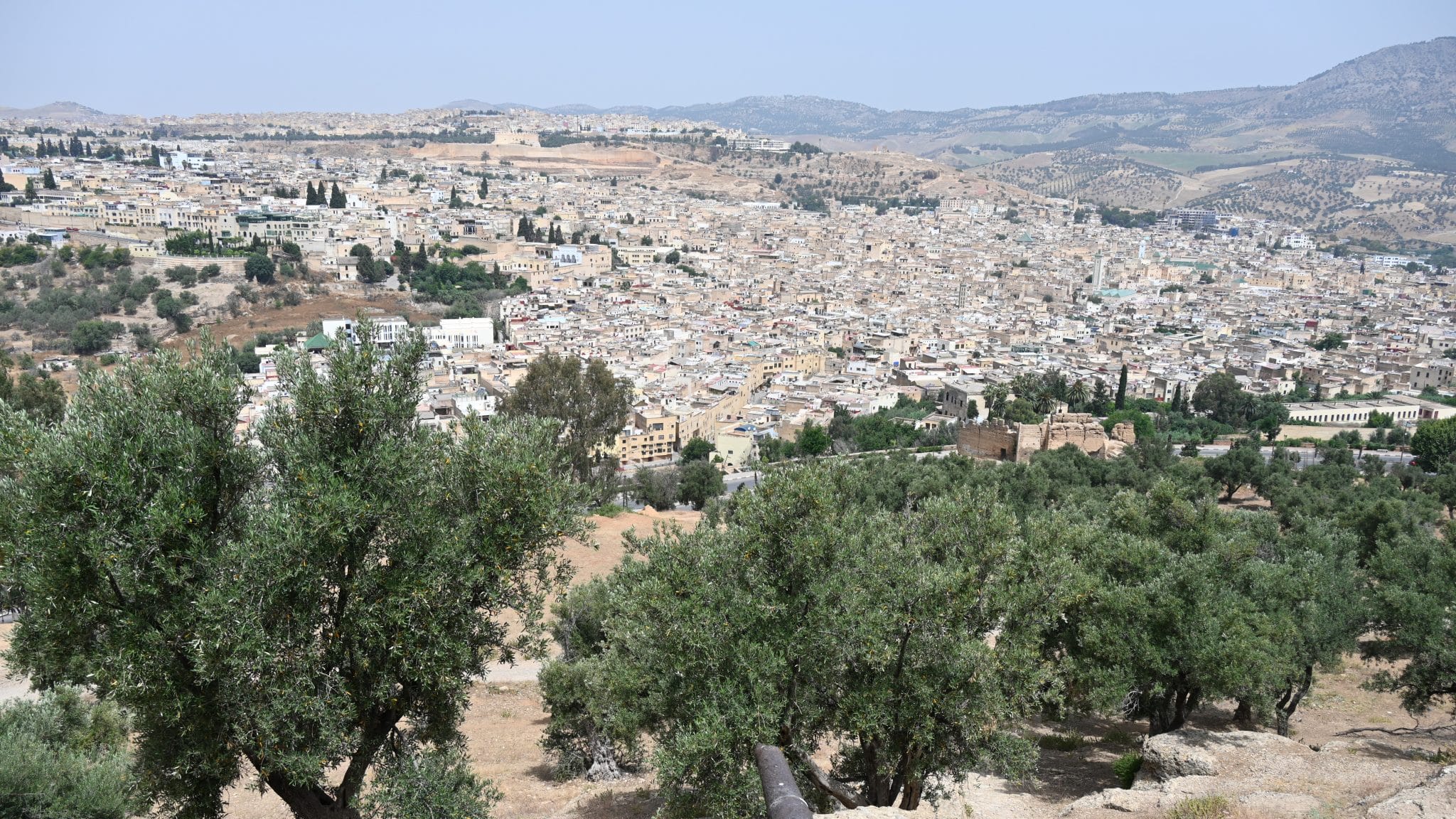 TOP 10 Fes Sehenswürdigkeiten mit vielen Tipps & Karte