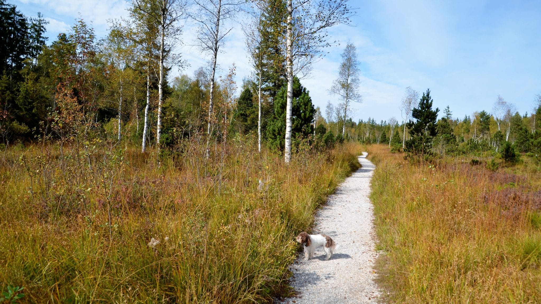Die TOP 10 Ausflugsziele in Bayern im Herbst